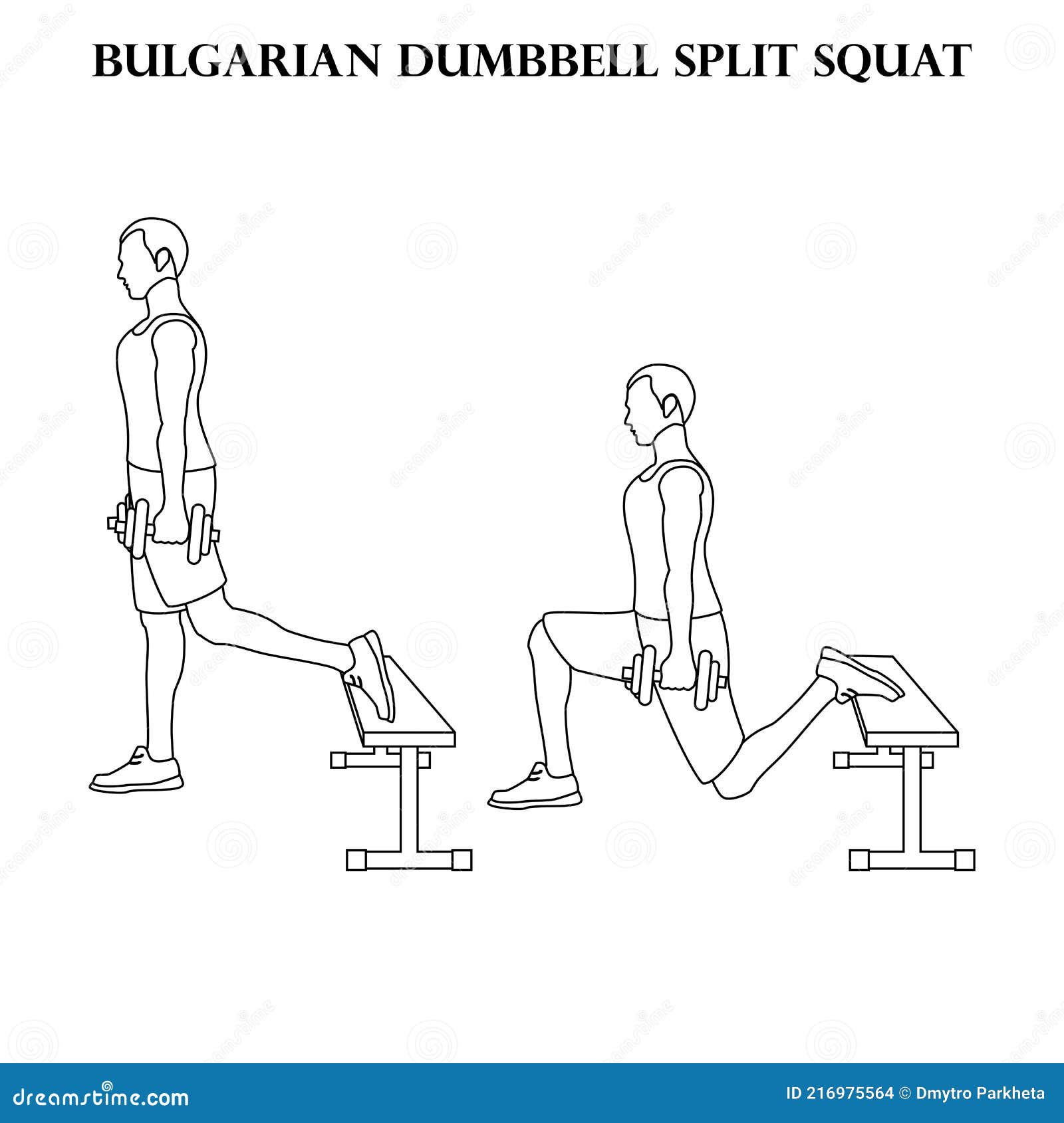 Bulgarian Dumbbell Split Squat Exercise Strength Workout Vector ... Bulgarian Dumbbell Split Squat Exercise Strength Workout Vector ...