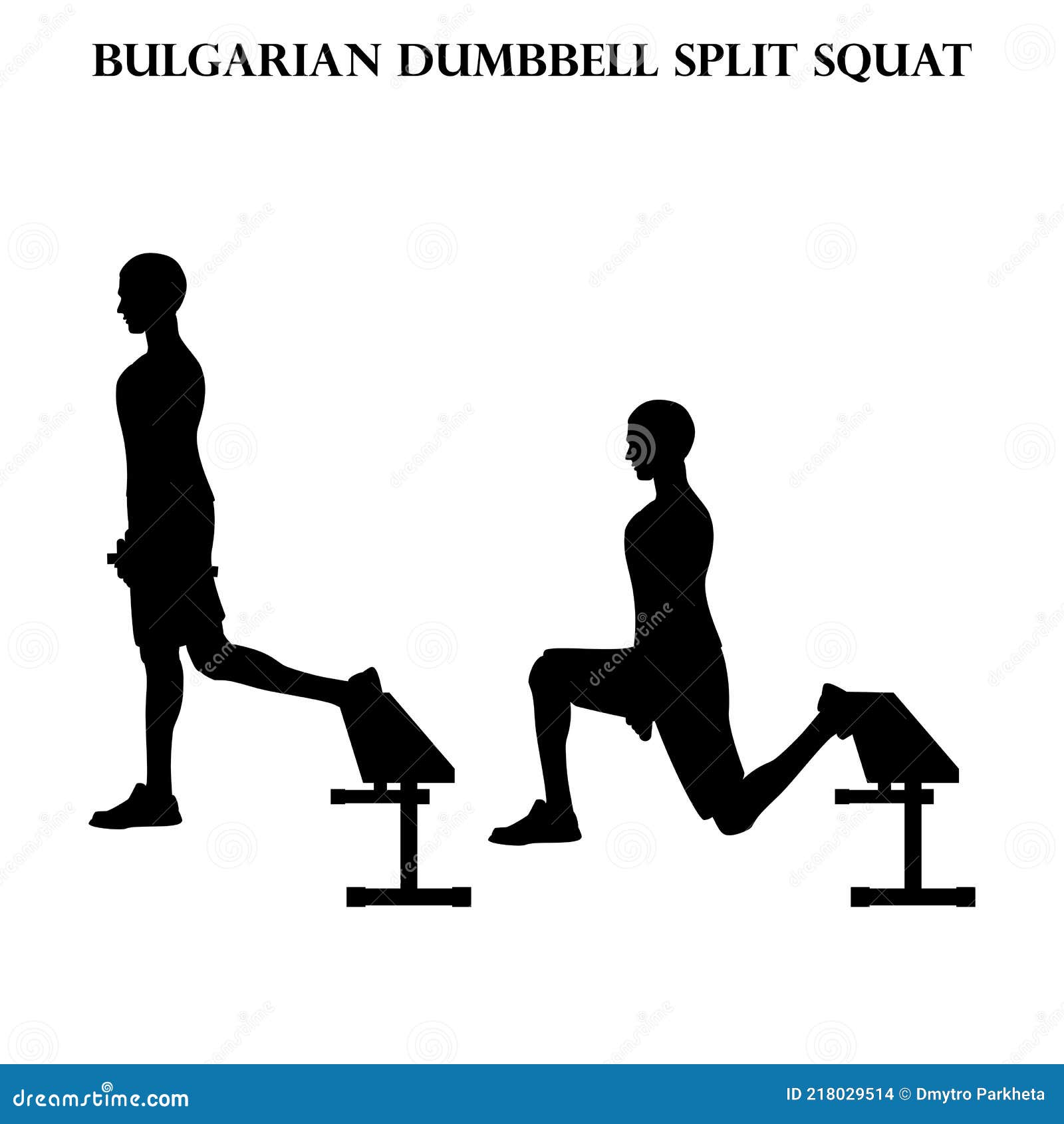 Bulgarian Dumbbell Split Squat Exercise Strength Workout Vector ... Bulgarian Dumbbell Split Squat Exercise Strength Workout Vector ...