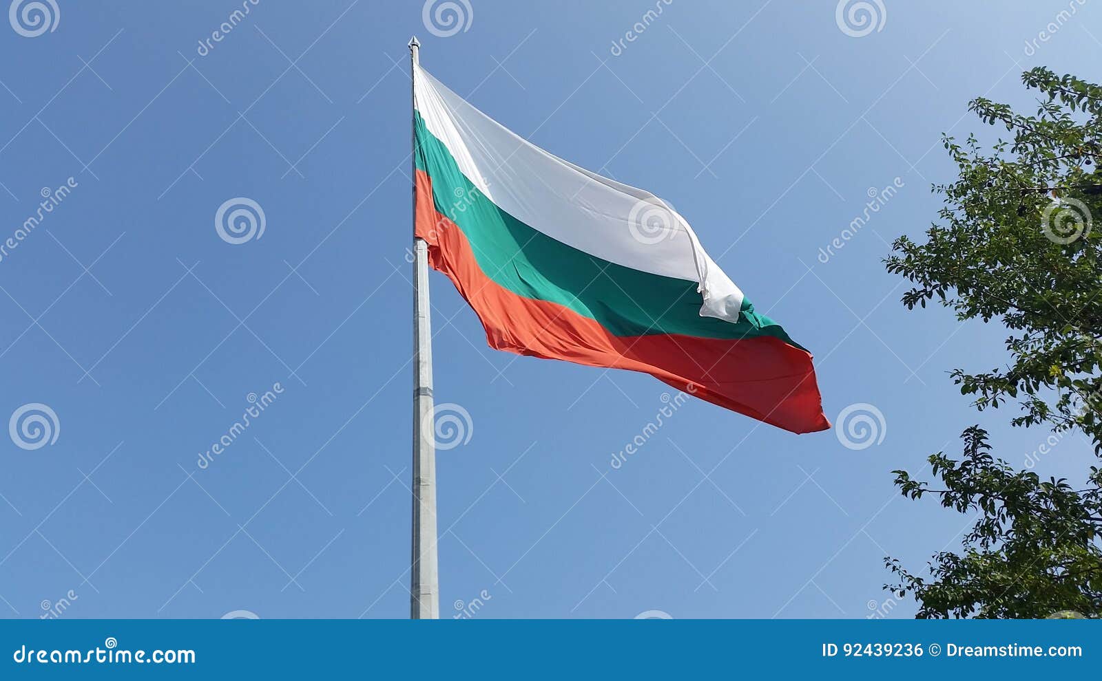 Bulgarian flag in border stock photo. Image of holiday - 92439236