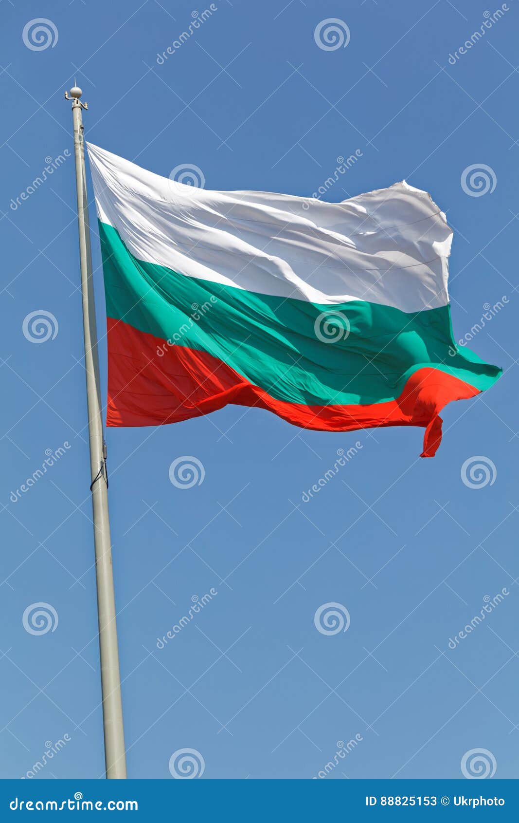 Bulgarian Flag Royalty-Free Stock Image | CartoonDealer.com #21993730