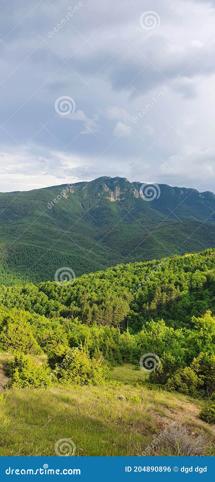Beautifull Bulgarian Mountain Edge Stock Photos - Free & Royalty-Free ...