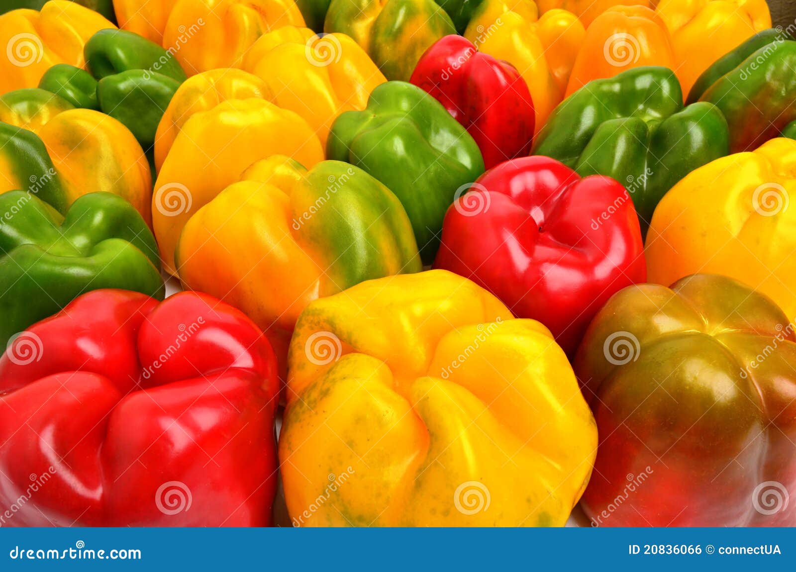 Bulgarian pepper stock photo. Image of shop, macro, shiny - 20836066