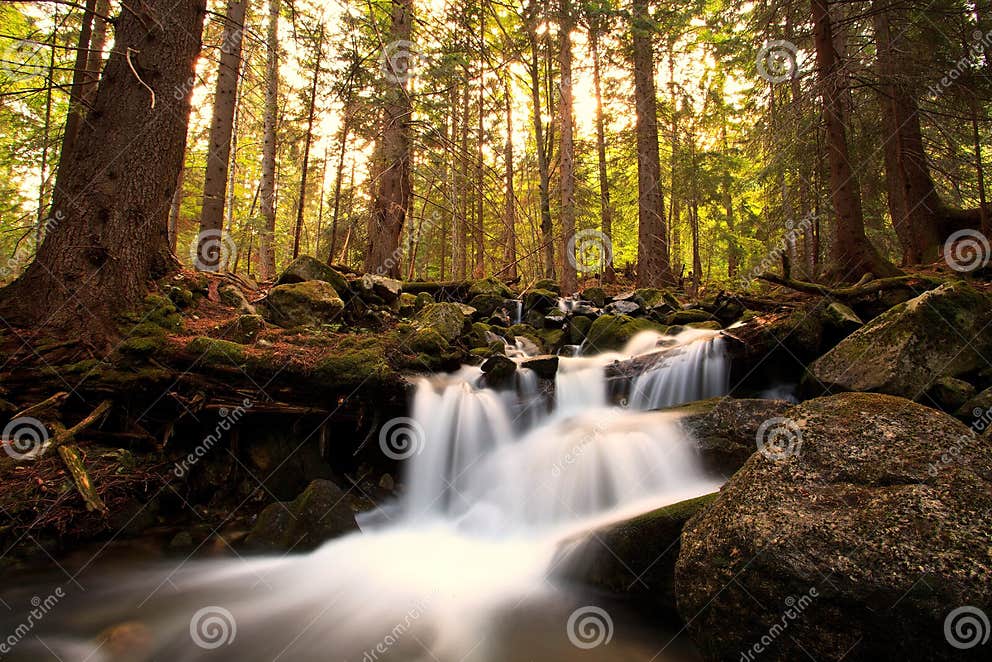 Bulgarian Wild Nature Forest Stock Photo - Image of splash, mountain ...