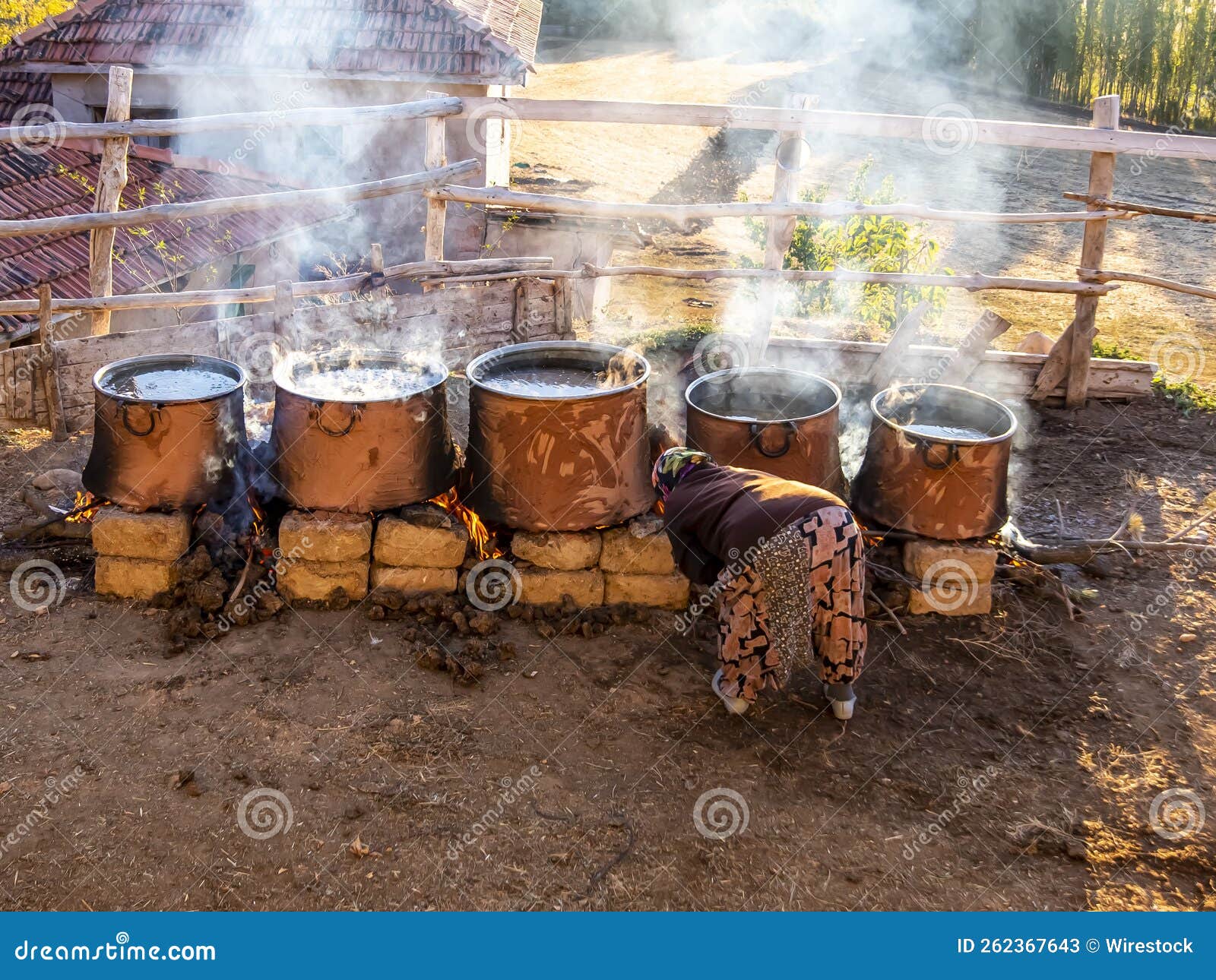 Boiled Wheat Which is Used in Bulgur Production Spreaded on the Floor ...
