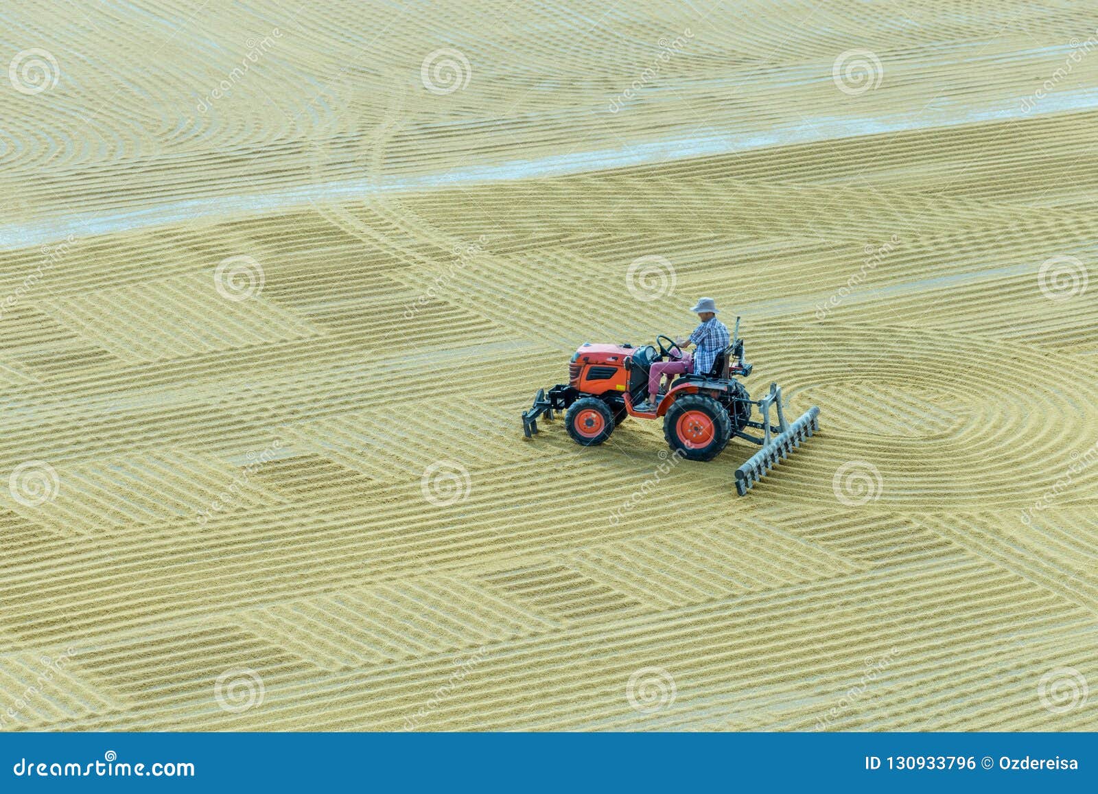 Bulgur Wheat Processing in Gaziantep,Turkey Stock Photo - Image of grow ...