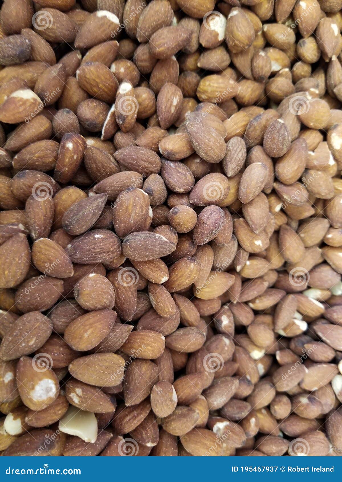 Bulk Shelled Almonds stock image. Image of bulk, hazel - 195467937