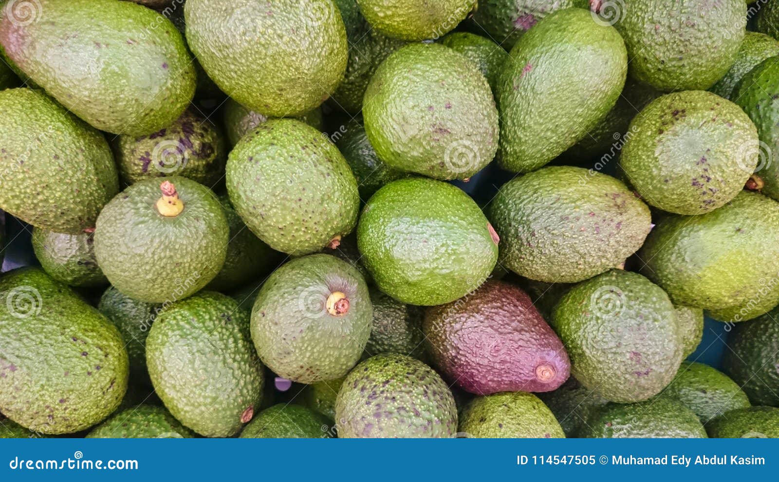 Avocado in the bucket stock image. Image of black, isolated - 114547505