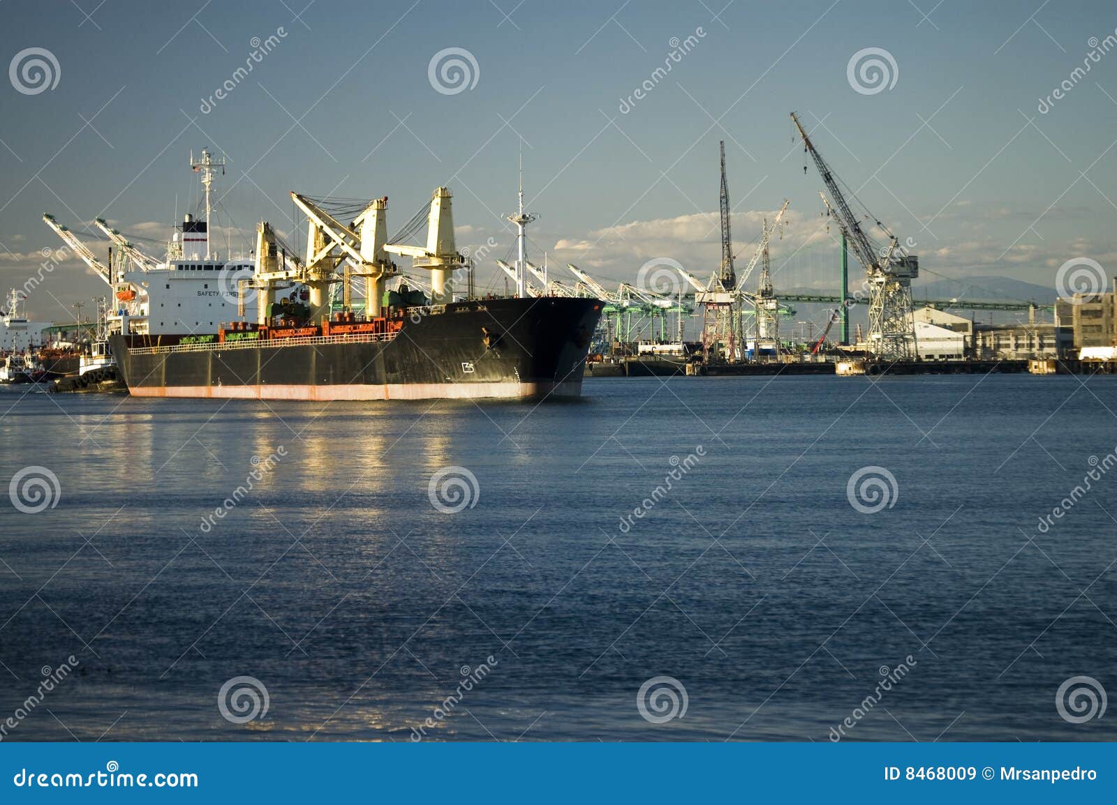 Bulk Cargo Ship Under Port Crane Stock Photo | CartoonDealer.com #34623738