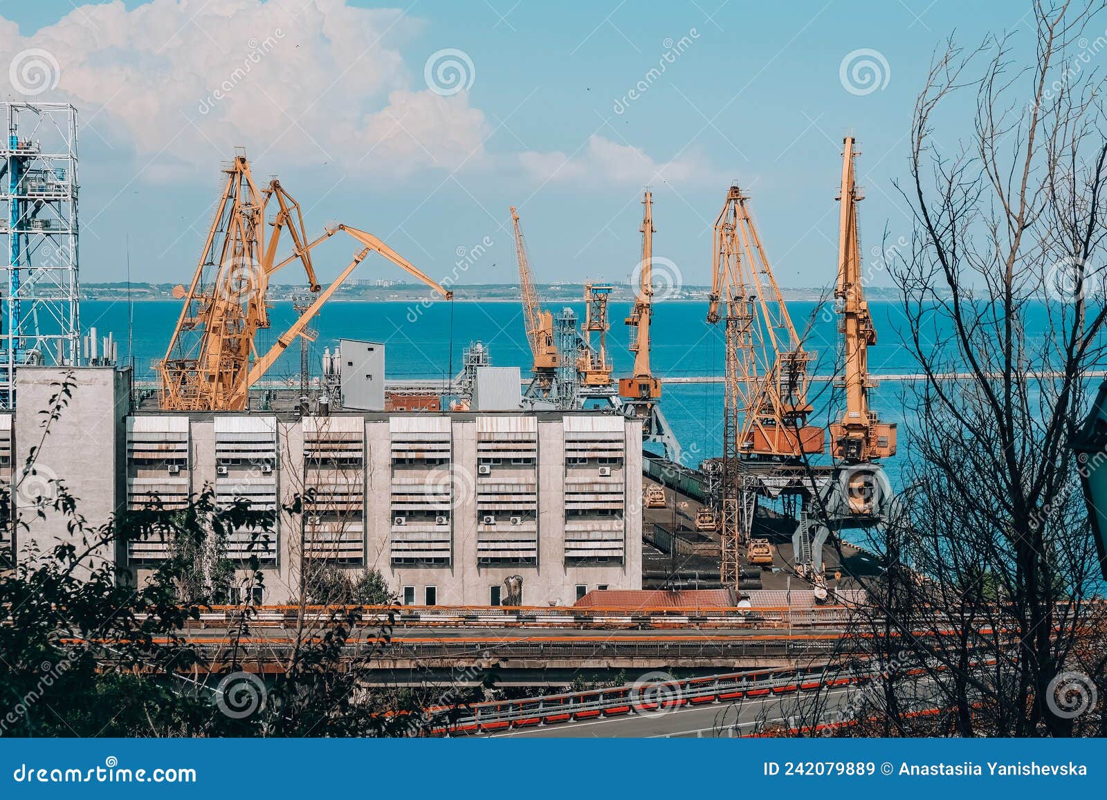 Bulk Carrier Ship Under Load of Clinker Cargo Loading by Shore Cranes ...