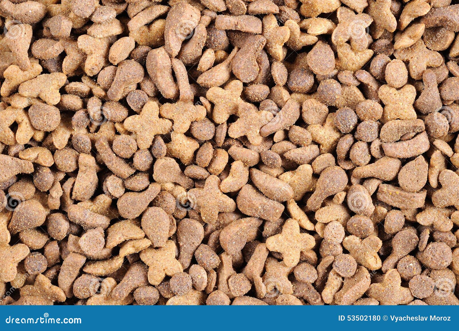 Bulk Cat Food stock photo. Image of color, food, nutrition - 53502180