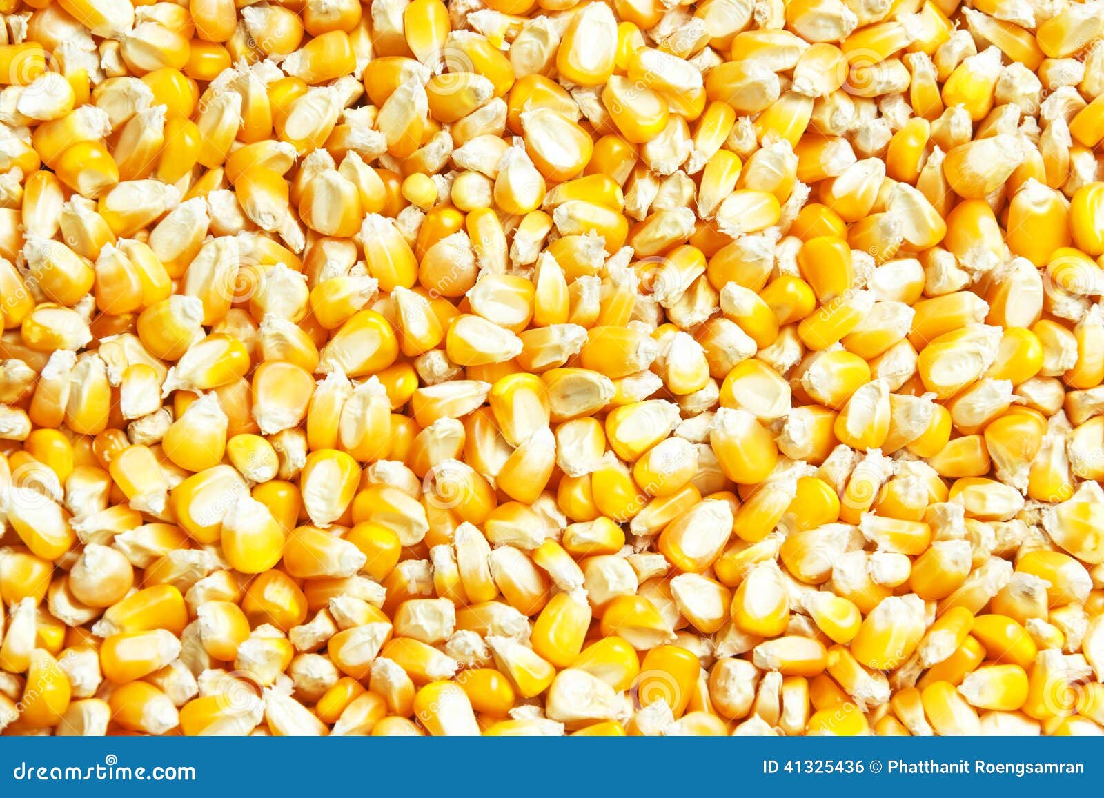 Bulk of Corn Grains As Background Stock Photo - Image of harvest ...