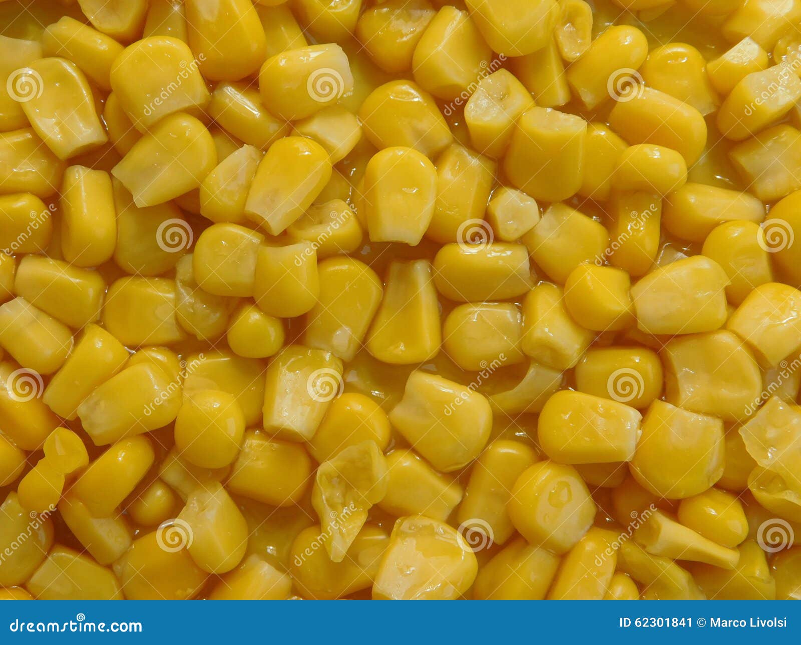 Bulk corn to eat stock image. Image of health, good, harvest - 62301841