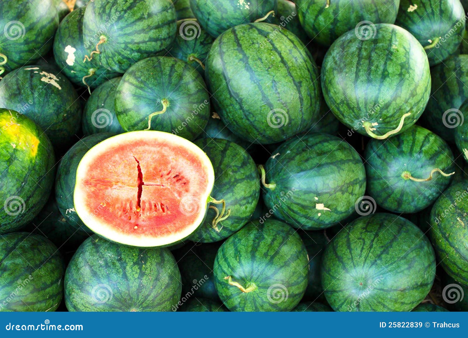 A Bulk of Watermelon from Organic Farm Stock Image - Image of thailand ...