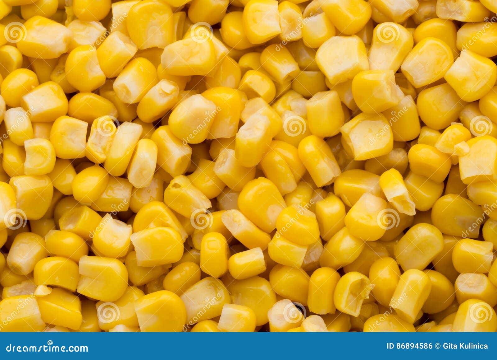 Bulk of Yellow Corn Grains Texture. Stock Photo - Image of macro, grain ...