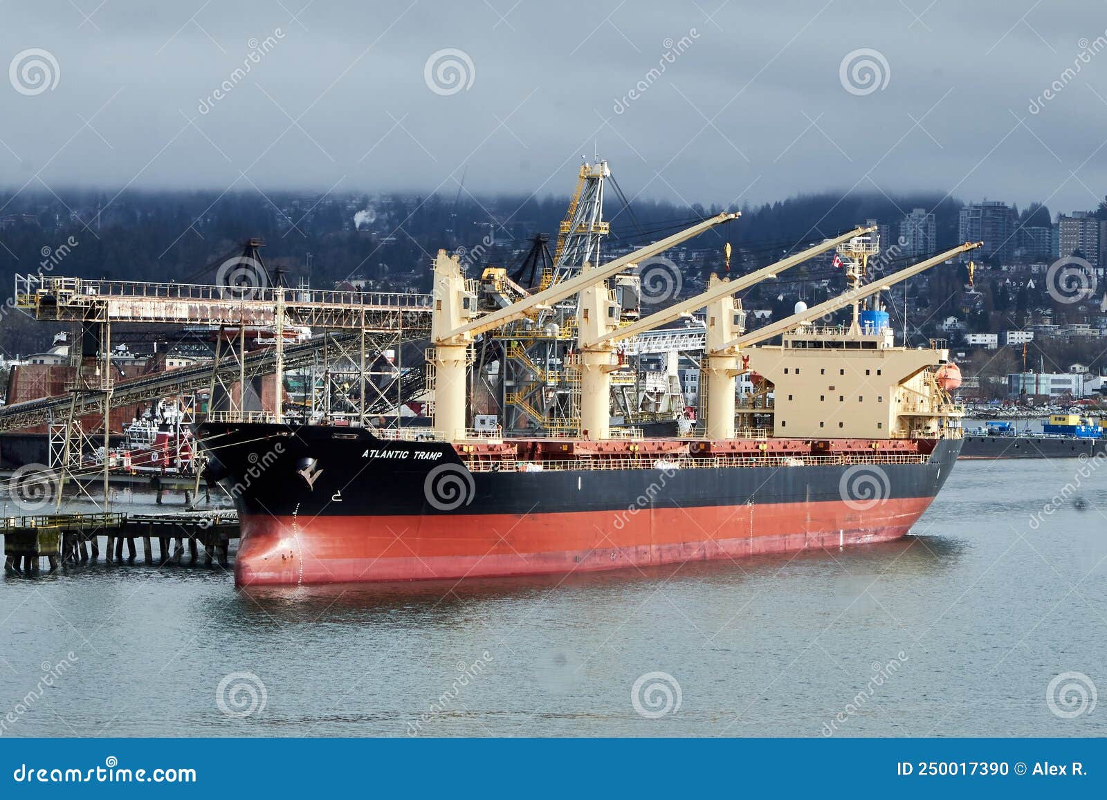Bulker vessel in port editorial image. Image of vessel - 250017390