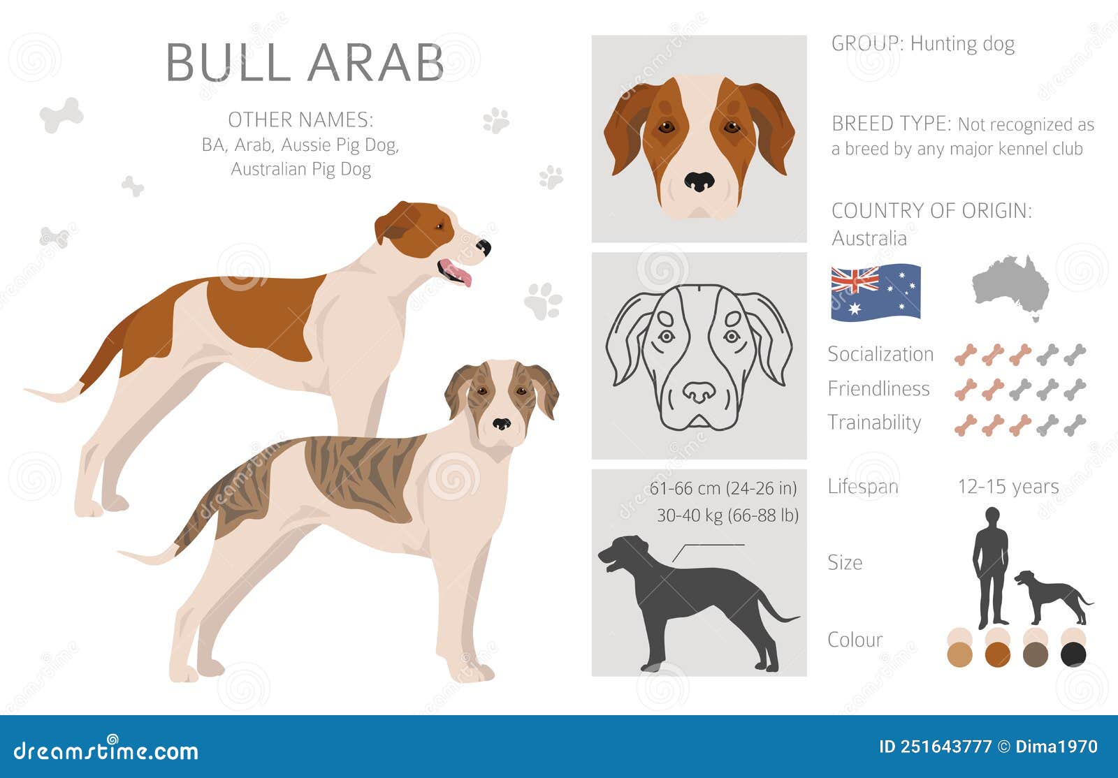 Are Bull Arabs Good Pets
