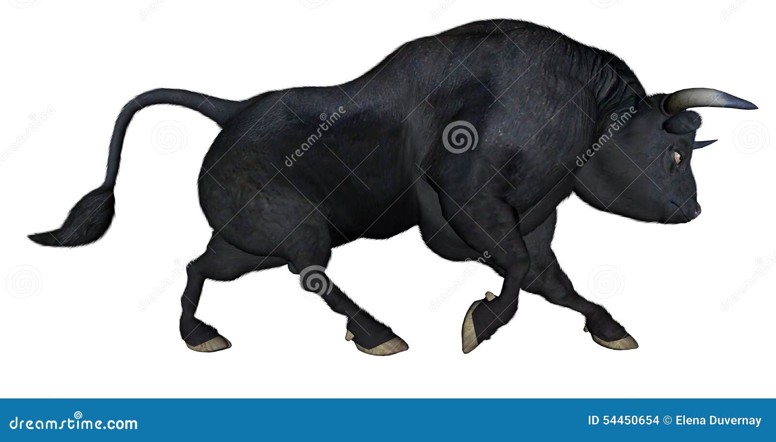 Bull, Charging Forward With Its Horns Lowered In Attack Royalty-Free ...