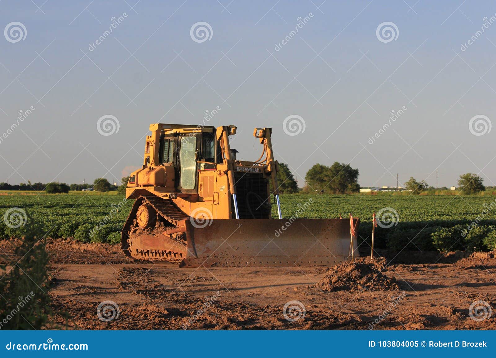 Bull Dozer in a Field at a Work Site Editorial Image - Image of tree ...