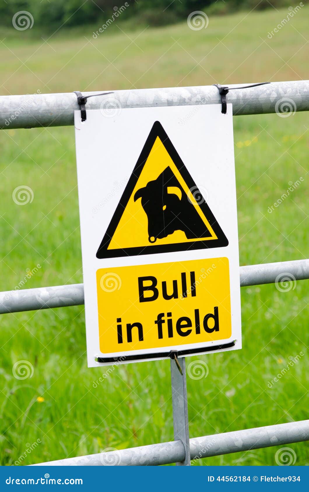 Bull In Field Warning Sign Royalty-Free Stock Image | CartoonDealer.com ...