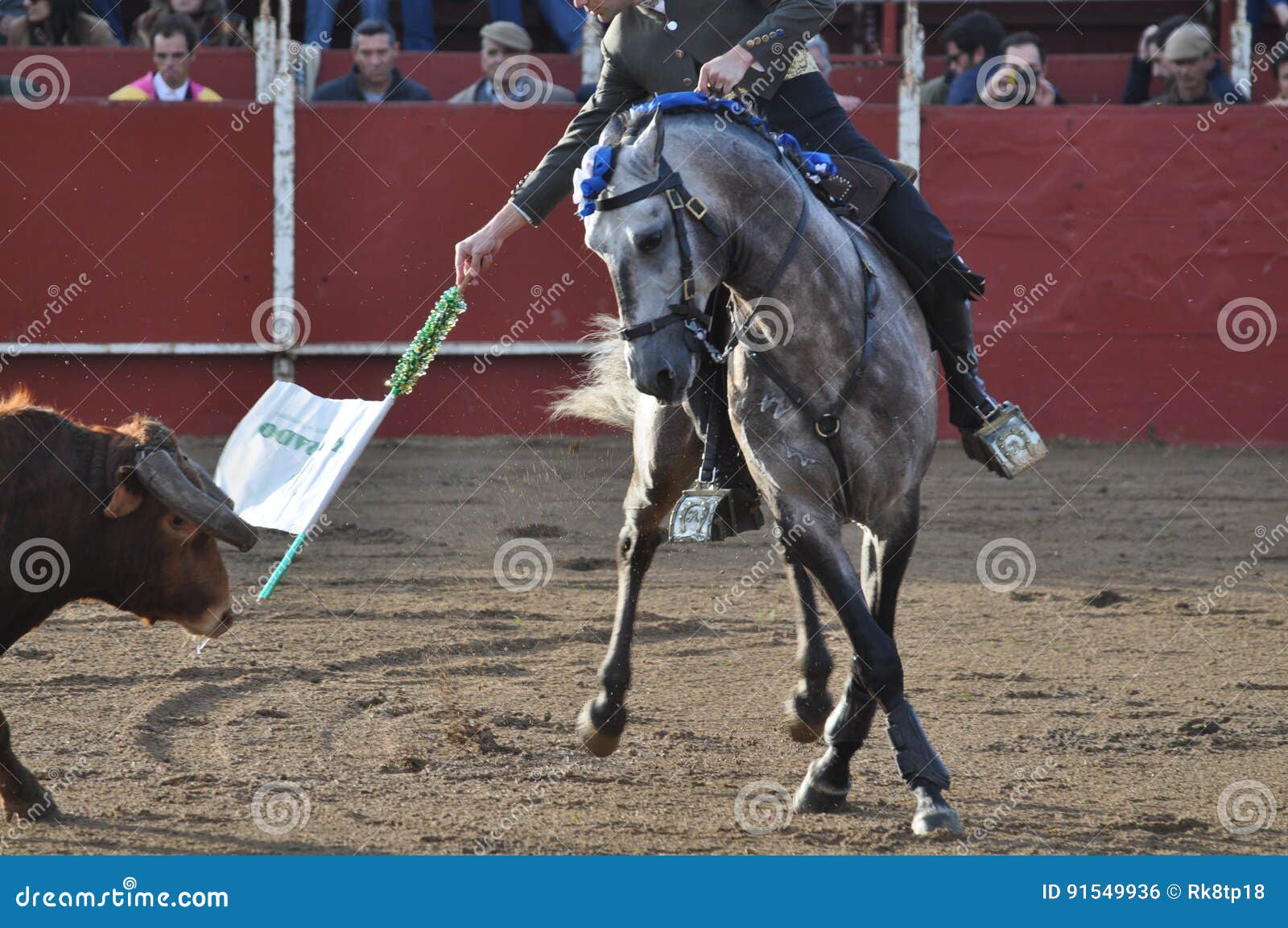 Bull fighting horse editorial photo. Image of anger, bloody - 91549936