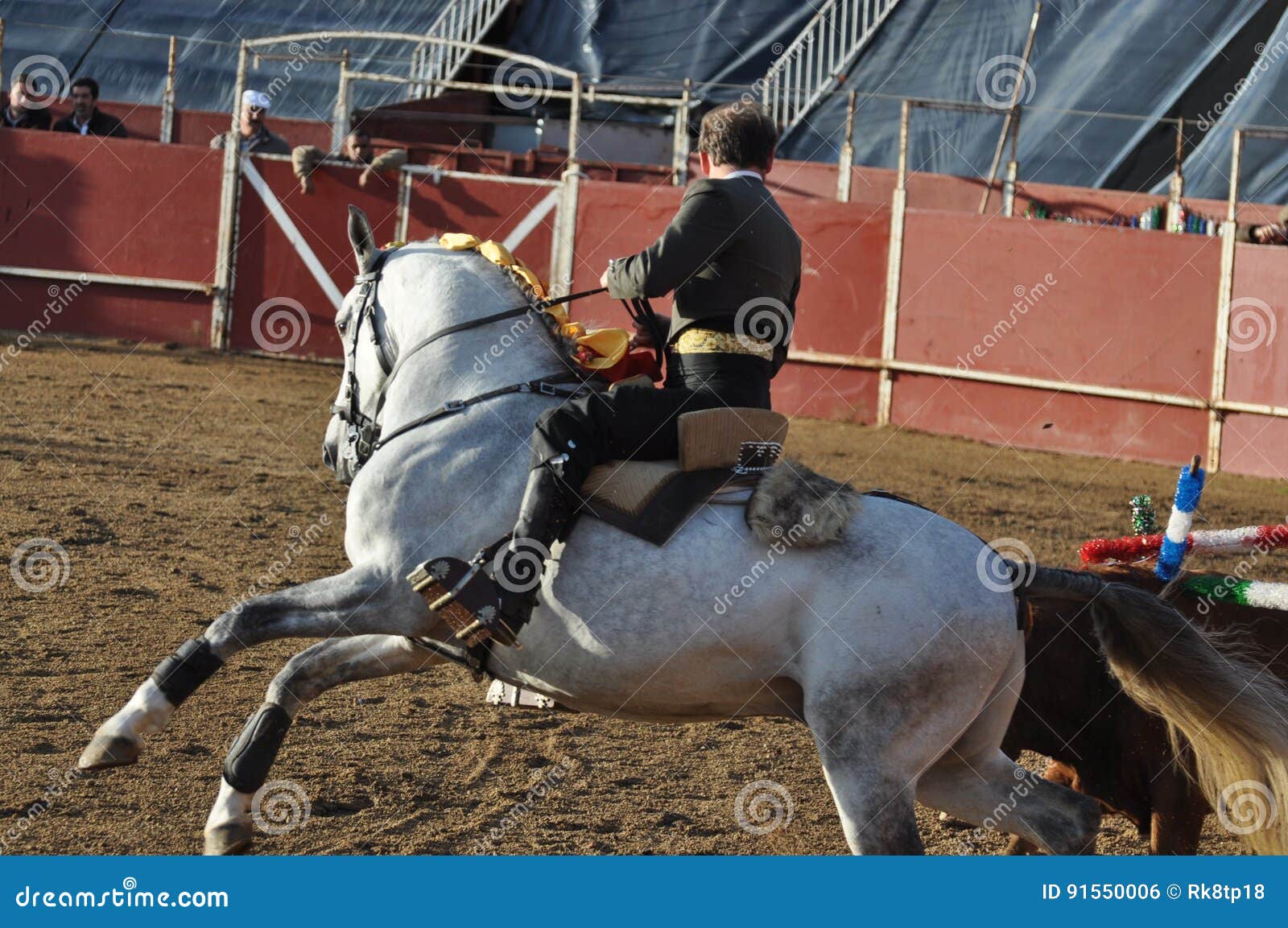 Bull fighting horse editorial photo. Image of equitation - 91550006