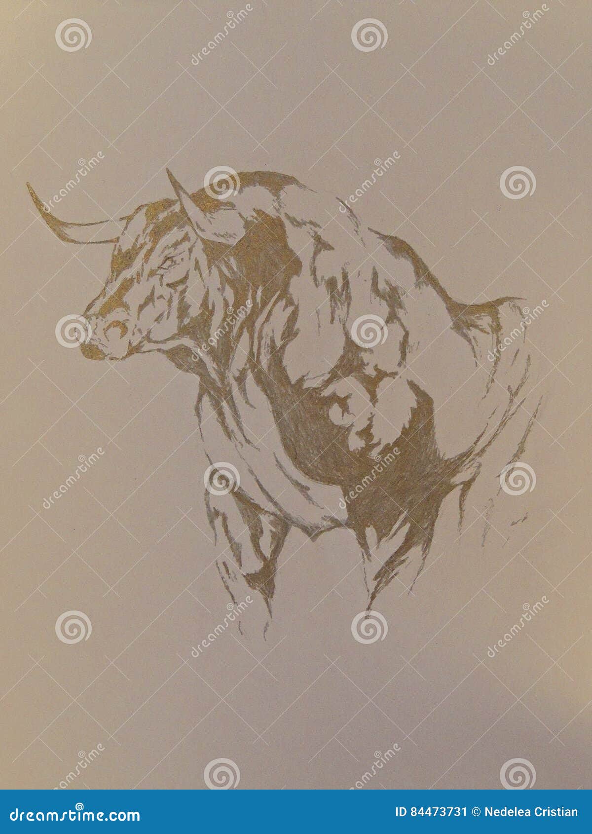 Bull graphic drawing stock illustration. Illustration of drawing - 84473731