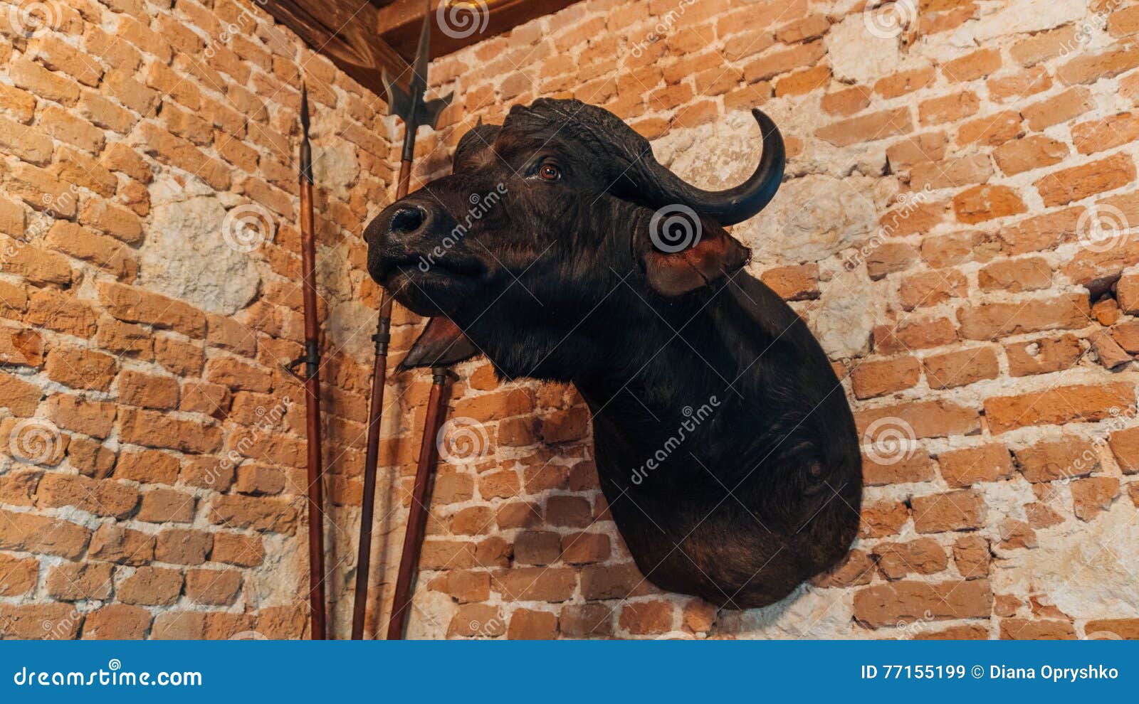 Bull Head on Brick Wall Background Stock Image - Image of nature ...