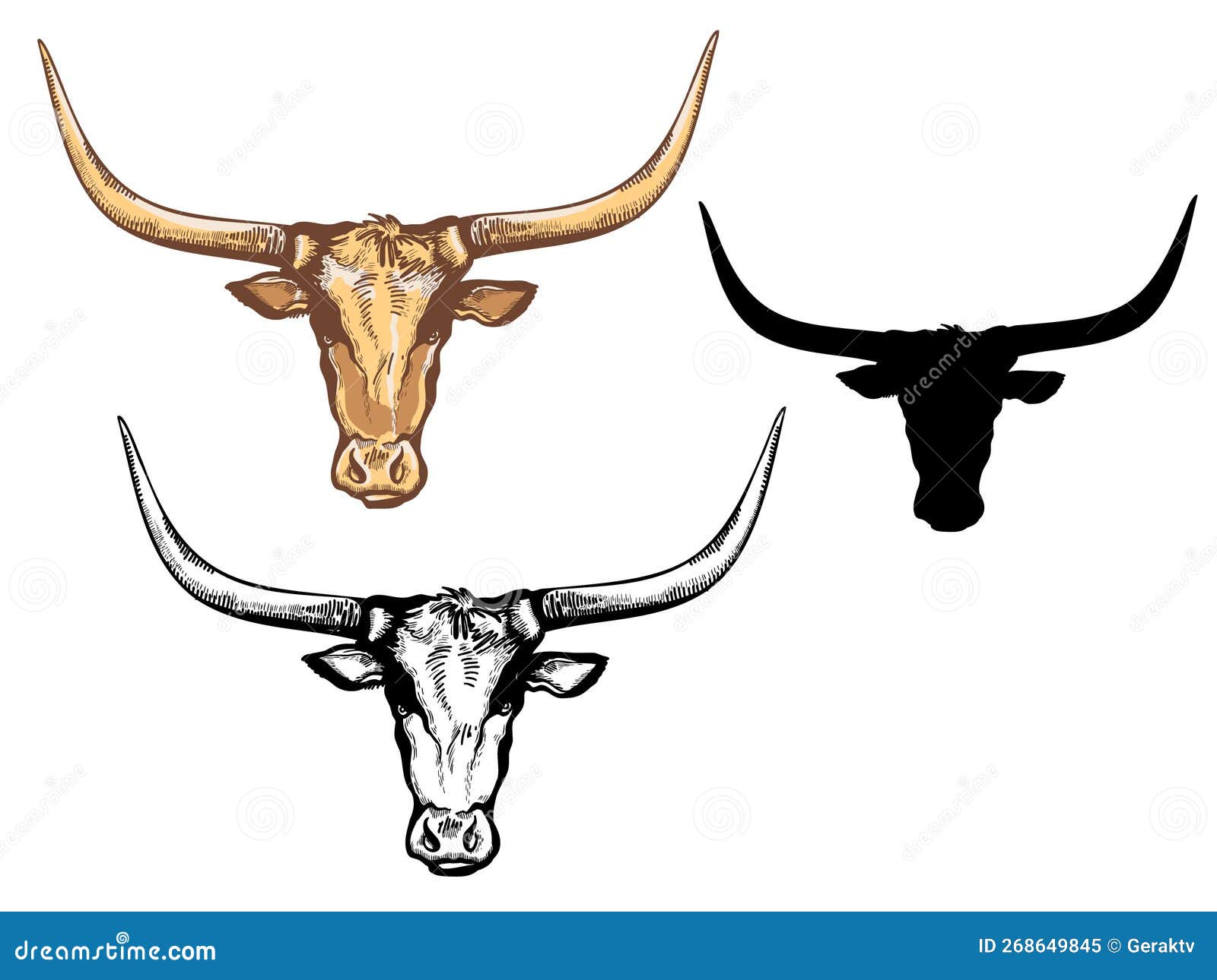 Bull Head Hand Drawn Illustration Isolated on White. Vector Black ...