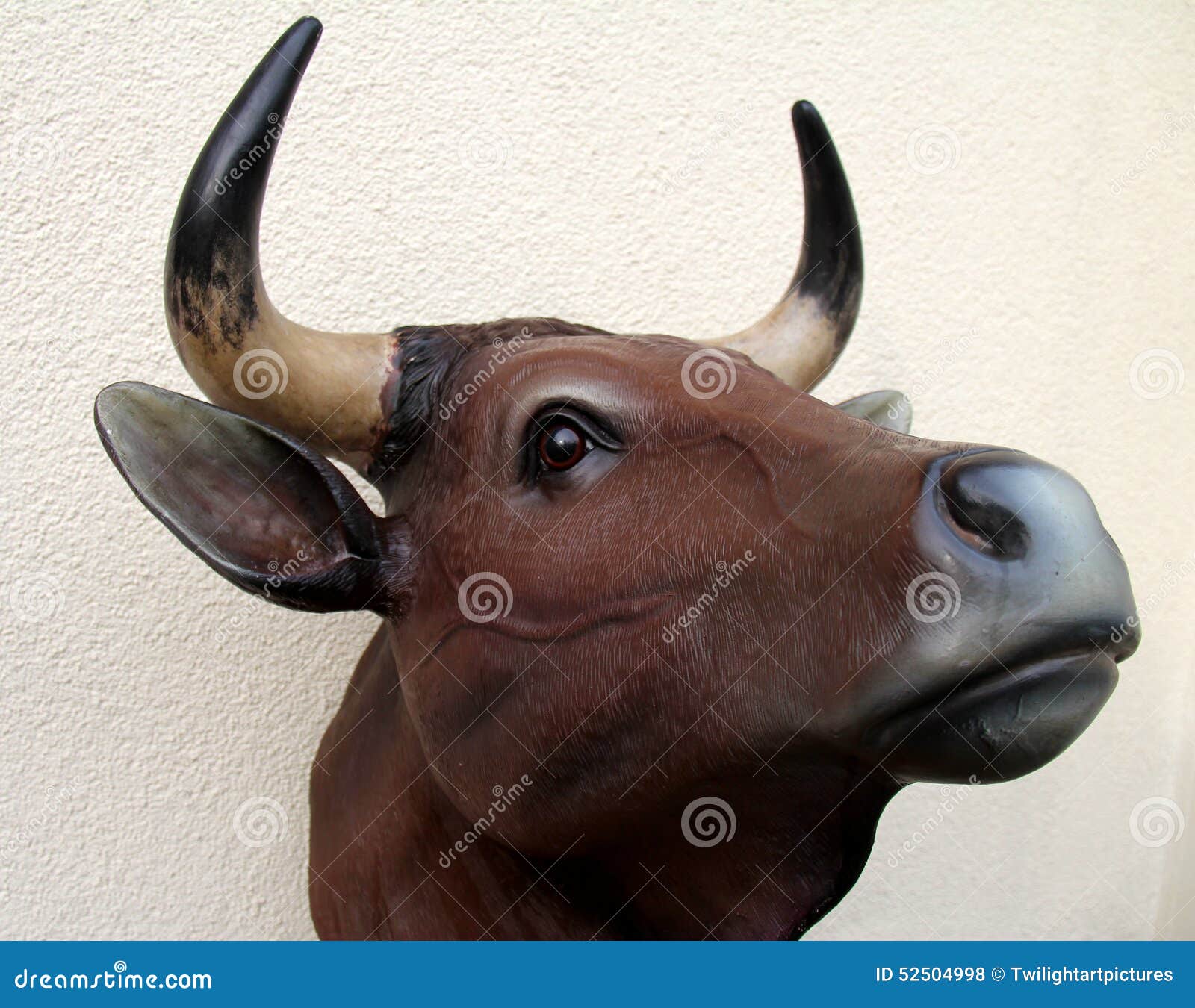 Bull head stock photo. Image of mold, domestic, wall - 52504998