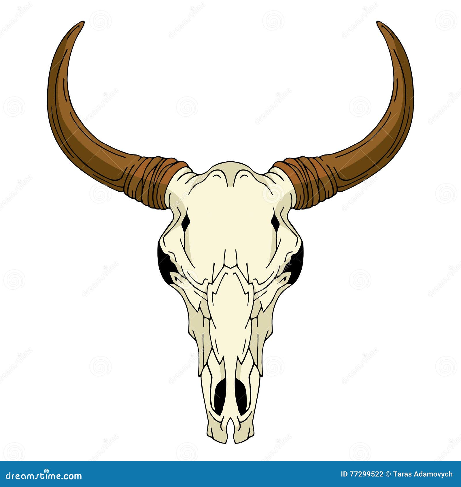 Bull Head Skull Vector Side Front Stock Vector - Illustration of horn ...