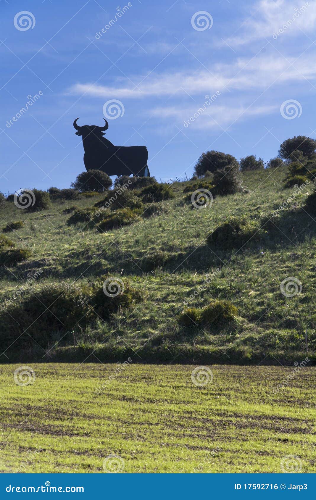 Bull on the hill stock photo. Image of nature, bull, hill - 17592716