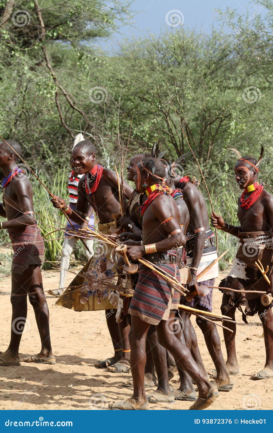 Bull Jumping Ceremony in the Omo Valley of Ethiopia Editorial Photo ...