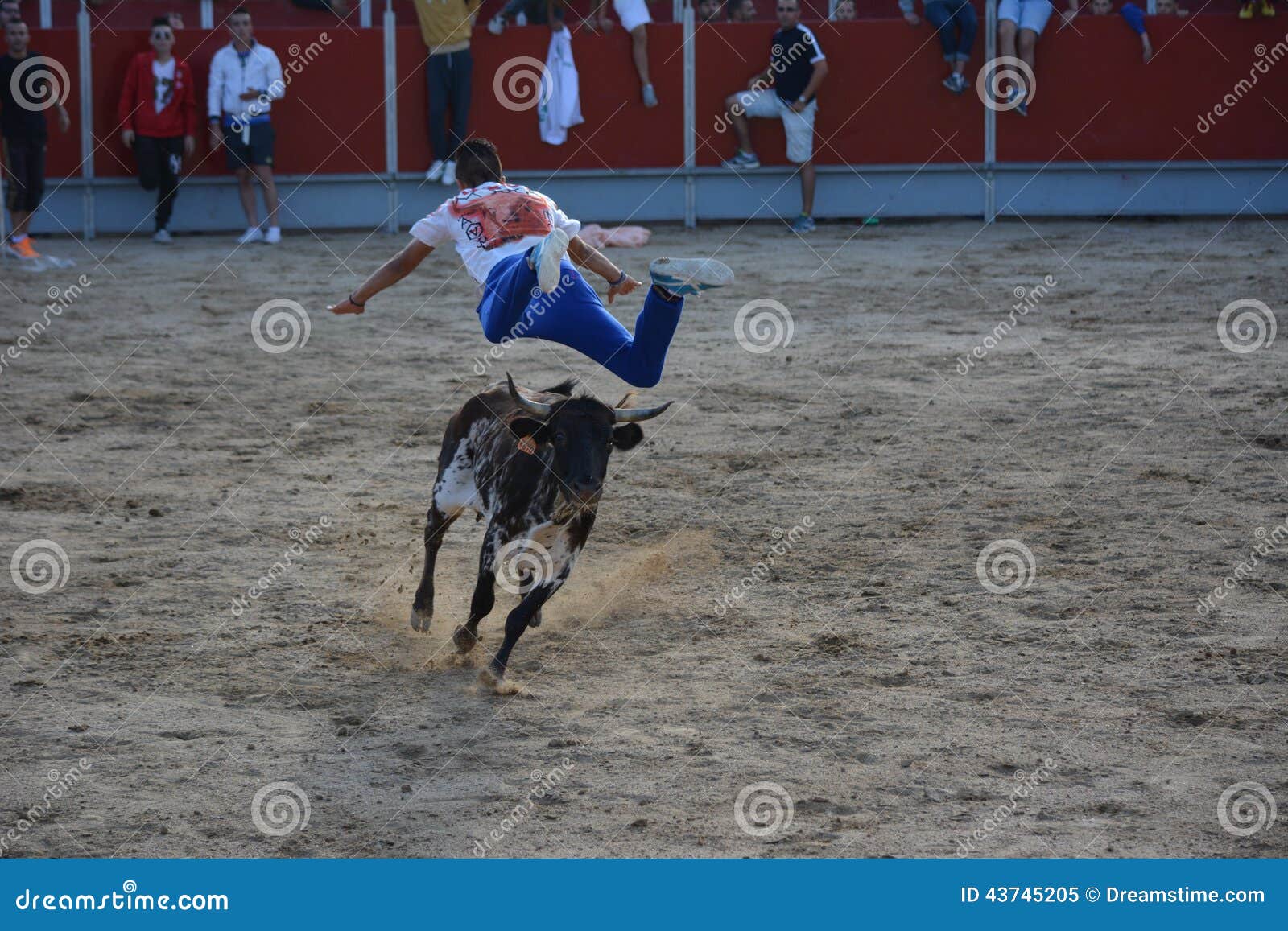 Bull jumping editorial image. Image of spain, party, bull - 43745205