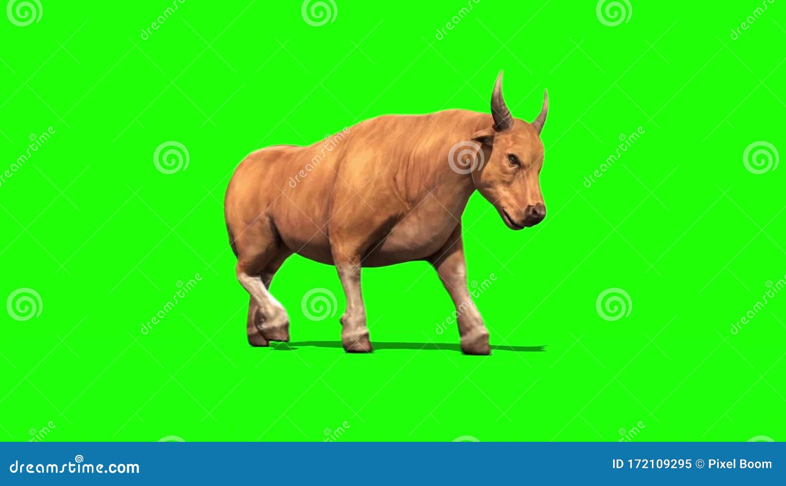 Bull Light Hair Walkcycle Green Screen 3D Rendering Loop Stock Video ...