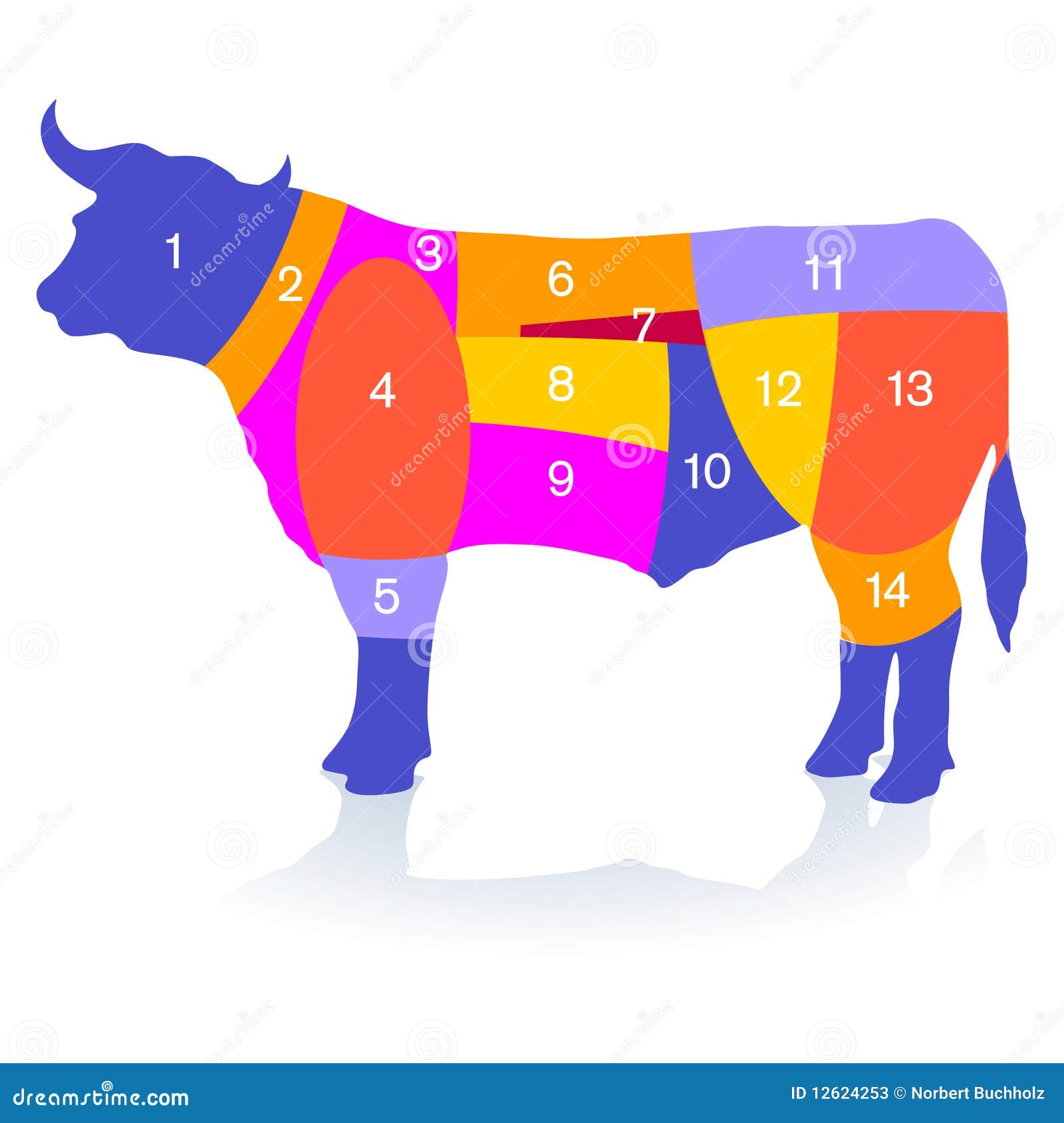 Bull meat stock vector. Illustration of farm, rind, meat - 12624253