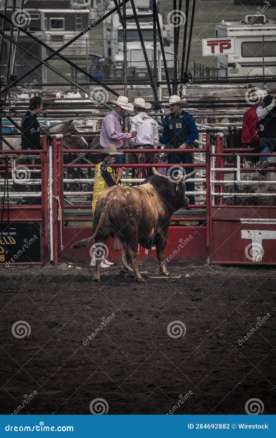 Bull in an Outdoor Rodeo Arena. Editorial Photography - Image of dirt ...