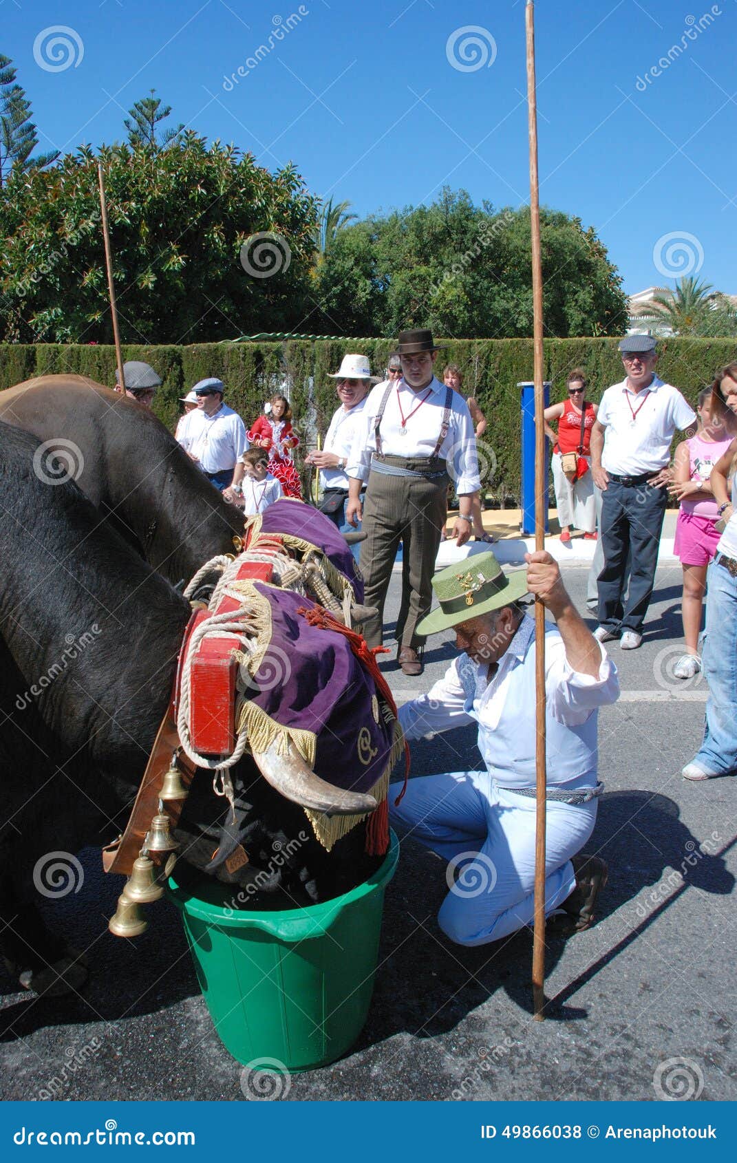 Bull Que Bebe De Uma Cubeta, Marbella Foto de Stock Editorial - Imagem ...