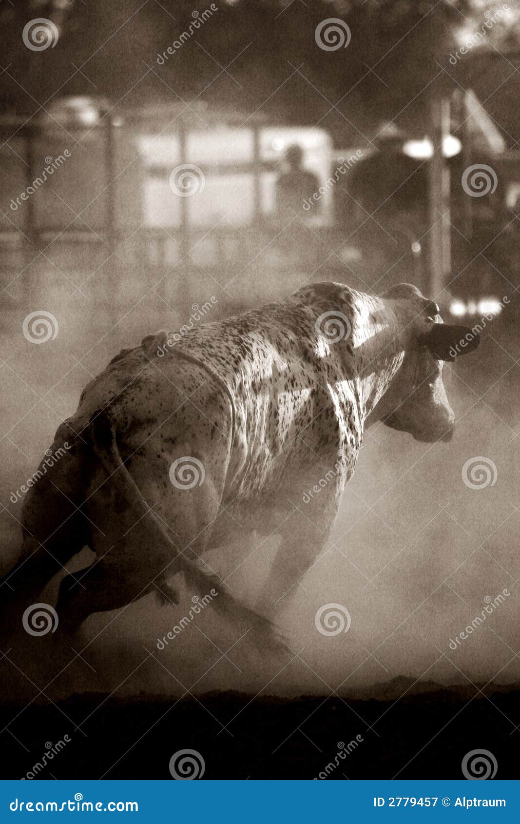 Animal Atteint De La Rage