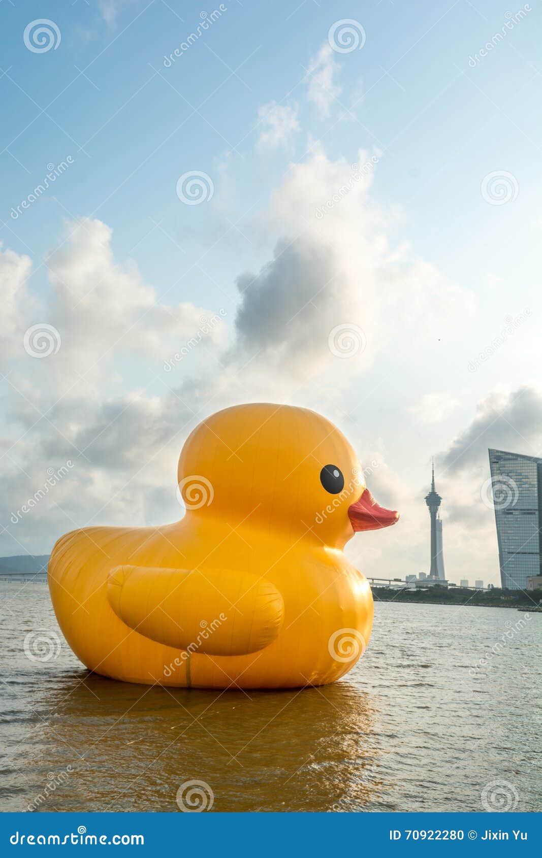 The Bull and the Rhubarb (yellow) Duck Editorial Image - Image of visit ...