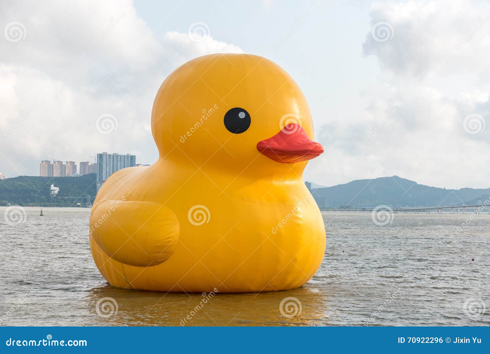 The Bull and the Rhubarb (yellow) Duck Editorial Photo - Image of ...