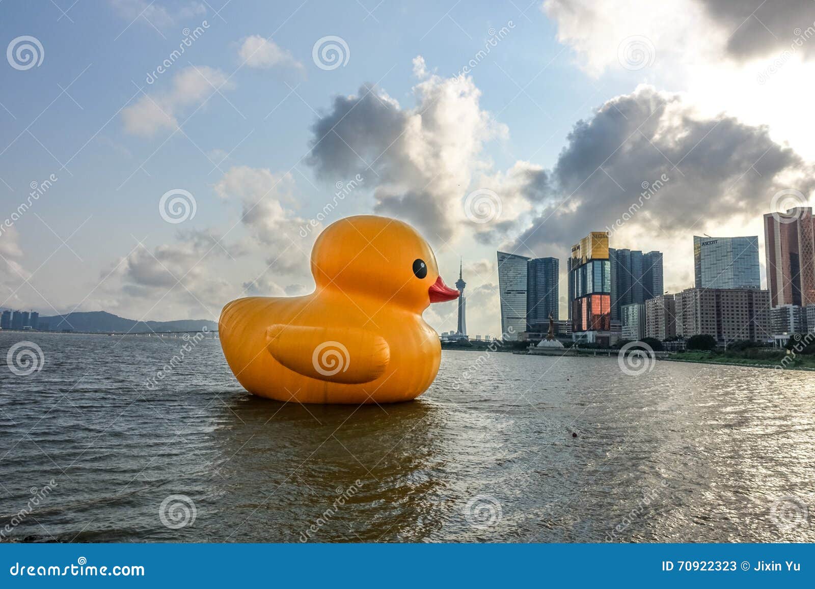 The Bull and the Rhubarb (yellow) Duck Editorial Stock Photo - Image of ...