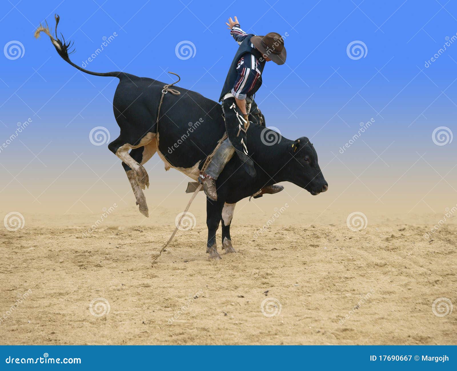 Bull Wrangling Photos - Free & Royalty-Free Stock Photos from Dreamstime