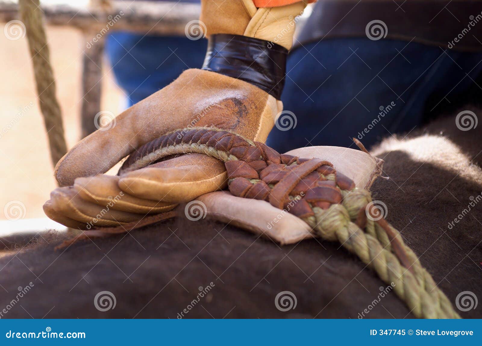 Bull Rider stock image. Image of rope, hand, bull, bareback - 347745
