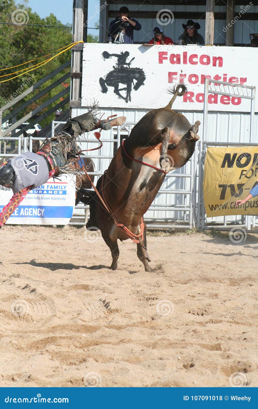 Bull rider 3 editorial stock photo. Image of rodeo, rider - 107091018