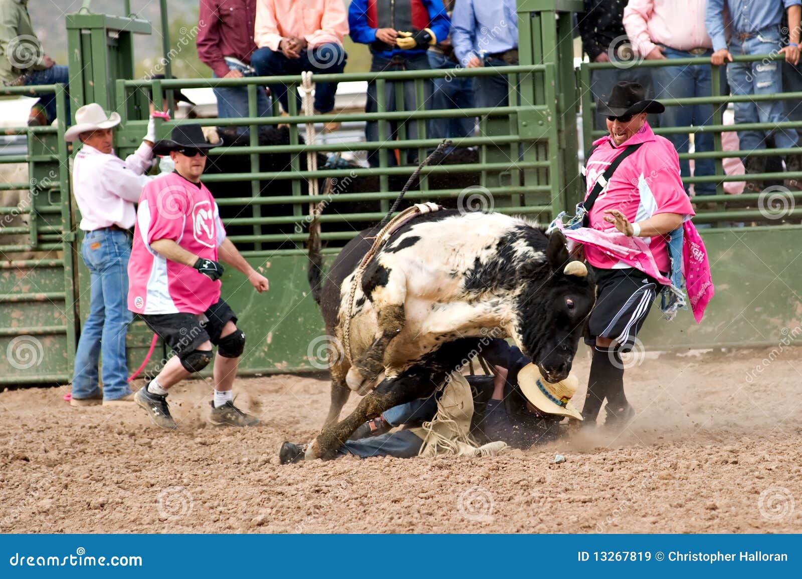 Bull riding editorial stock image. Image of competition - 13267819