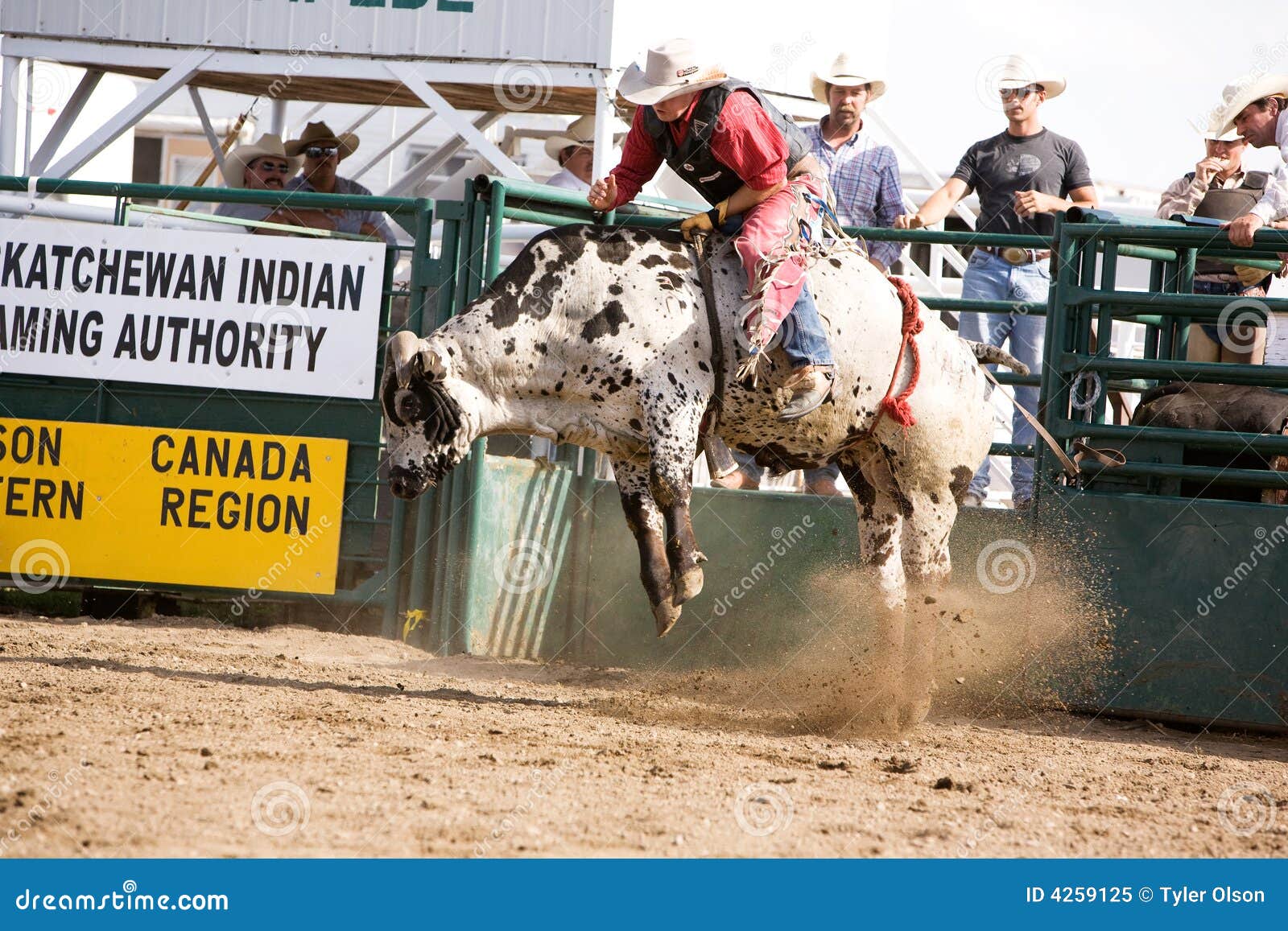Bull Riding editorial image. Image of determination, extreme - 4259125