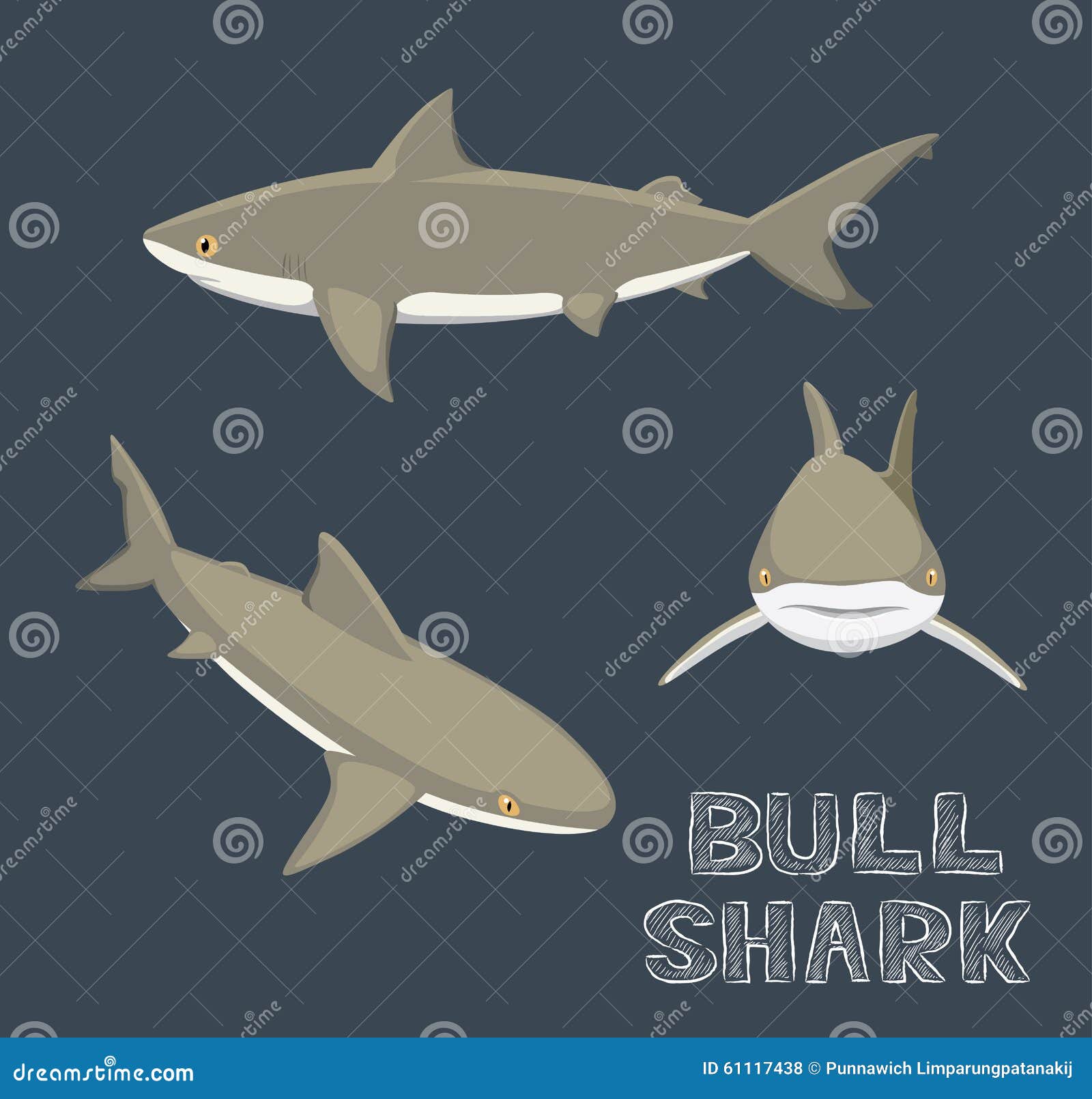 Bull Shark Silhouette Royalty-Free Stock Image | CartoonDealer.com #2540848