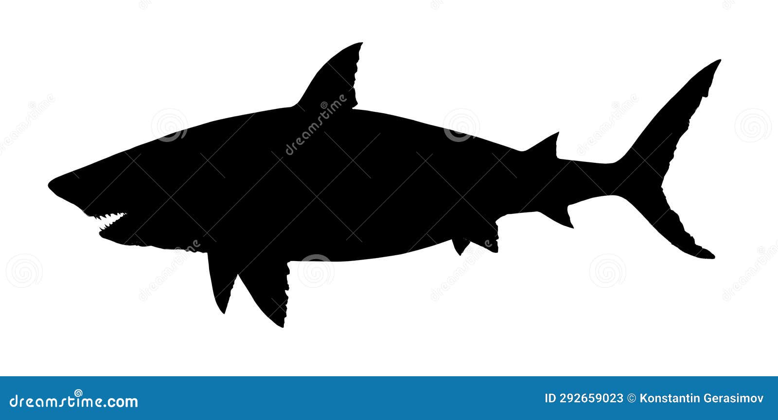 Black Silhouette of a Shark. Great White Shark Killer Side View ...