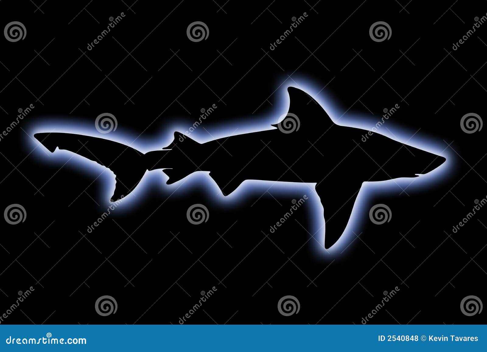 Bull Shark Isolated On White Background. Cartoon Character Of Ocean For ...