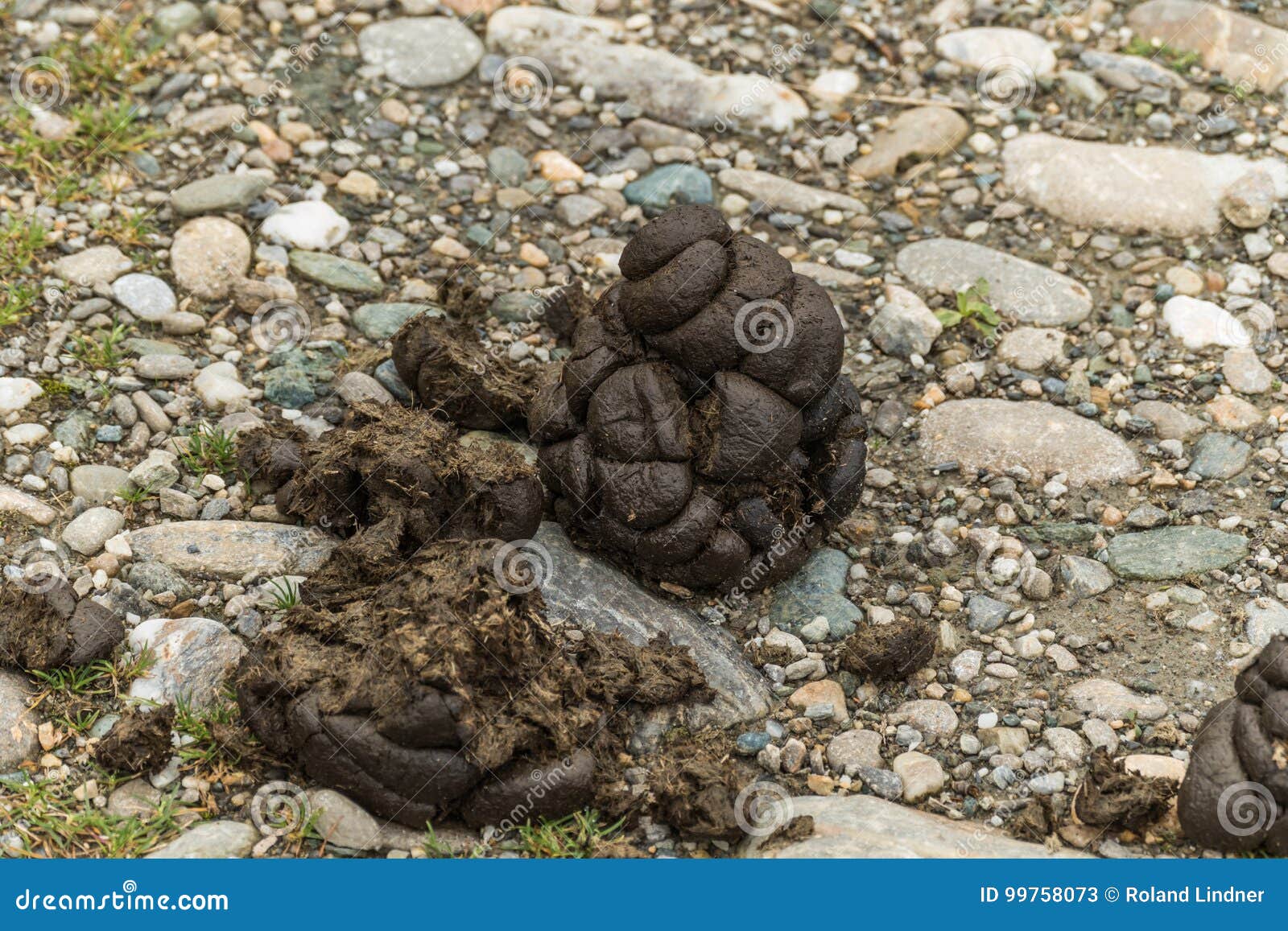 Former Bush Strategist Responds To Ted Cruz Calling Critics 'A**holes ...